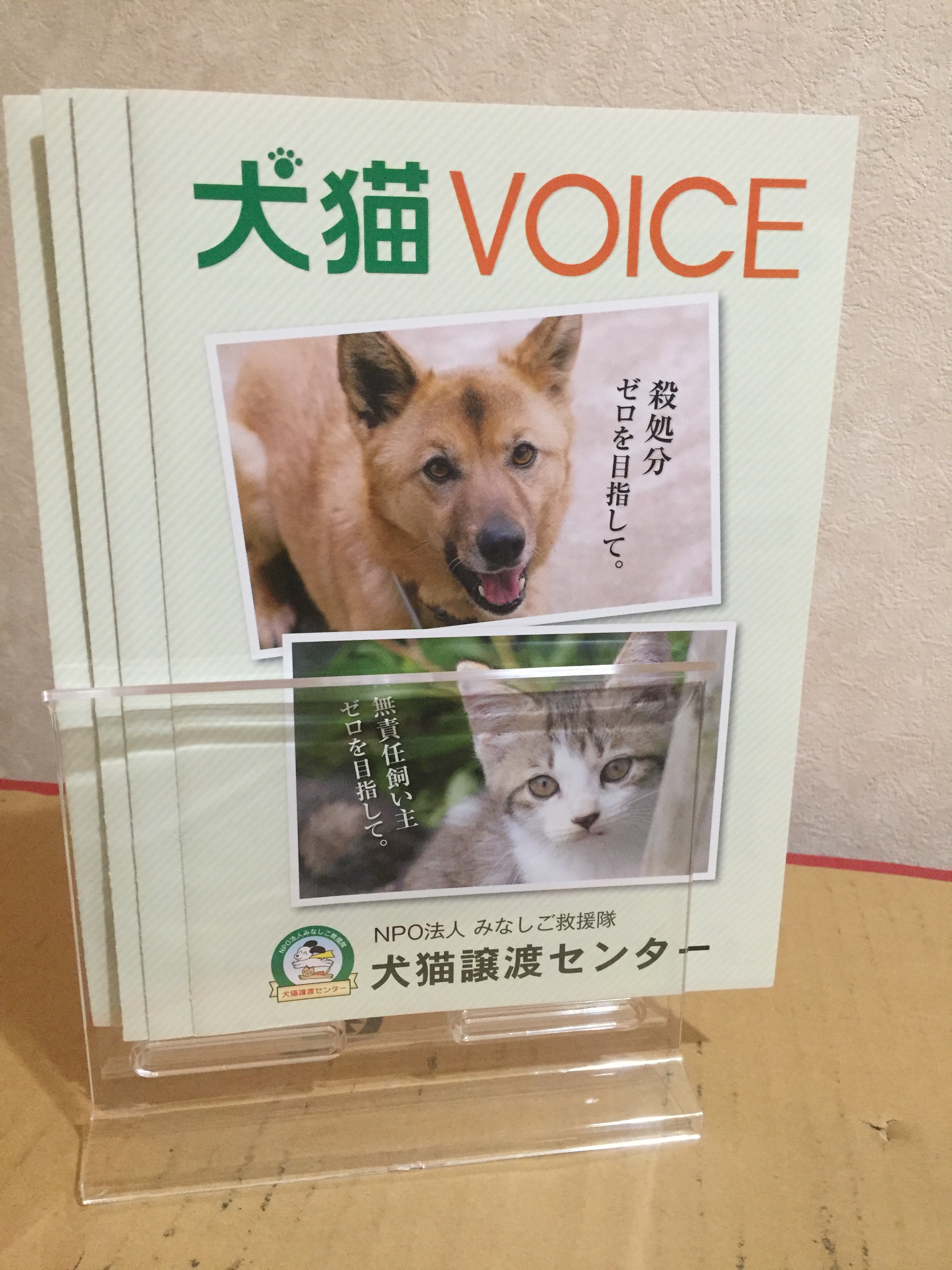 リーフレット作成しました！ - NPO法人 みなしご救援隊 犬猫譲渡センター 犬猫ひきとり,犬猫里親さがし,犬猫保護団体,保護犬引きとり保護,保護犬カフェ,保護猫カフェ,ドッグカフェ,犬猫 ...